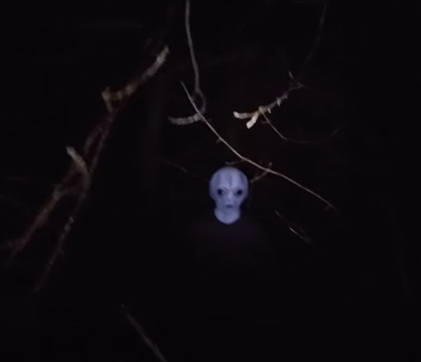 40 Paranormal Cryptids Caught On Tape - Mystic Paranormal News