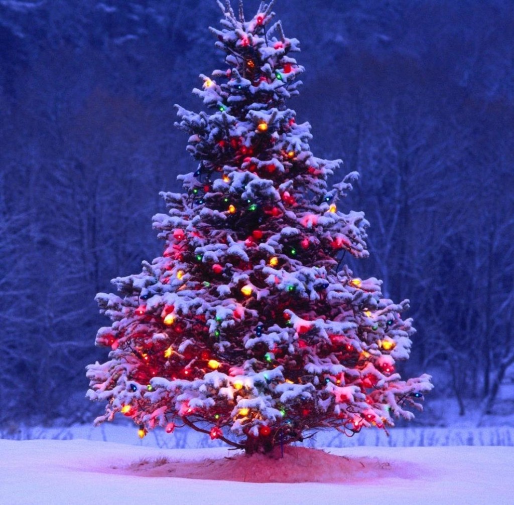 When Does The Christmas Season Officially Begin? - Mystic Christmas Blog