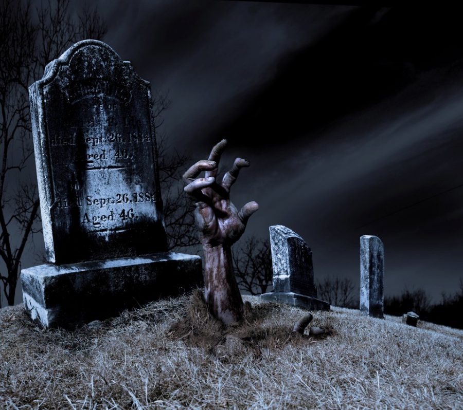 What Is The Scientific Name For Zombies Ask Mystic Investigations what-is-the-scientific-name-for-zombies-ask-mystic-investigations