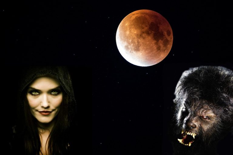 What Happens If A Werewolf Bites A Vampire? | Ask Mystic Investigations
