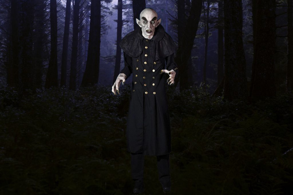 🧛 What Are The Four Types Of Vampires? | Ask Mystic Investigations