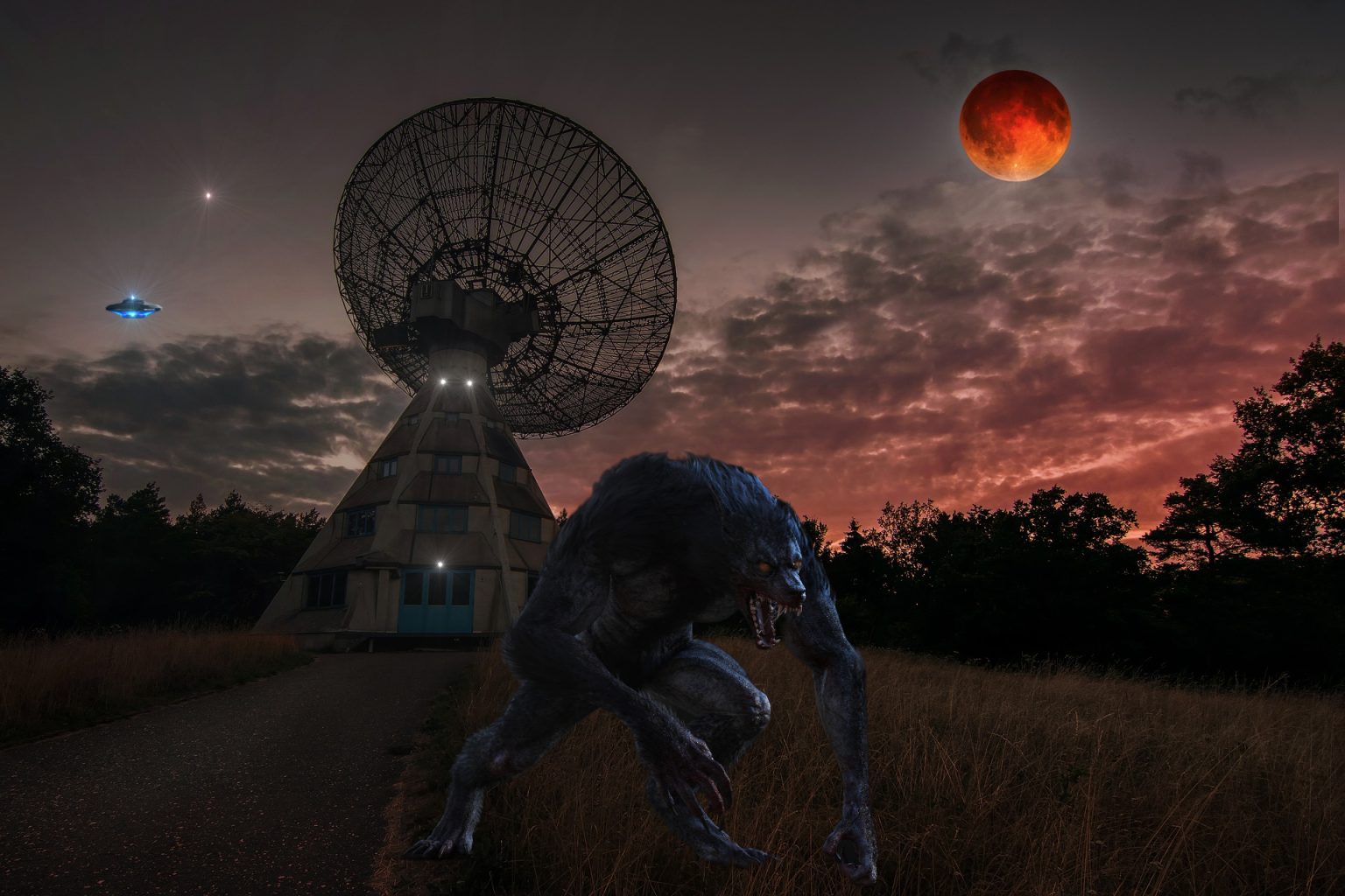 🐺 How To Repel A Werewolf | Ask Mystic Investigations