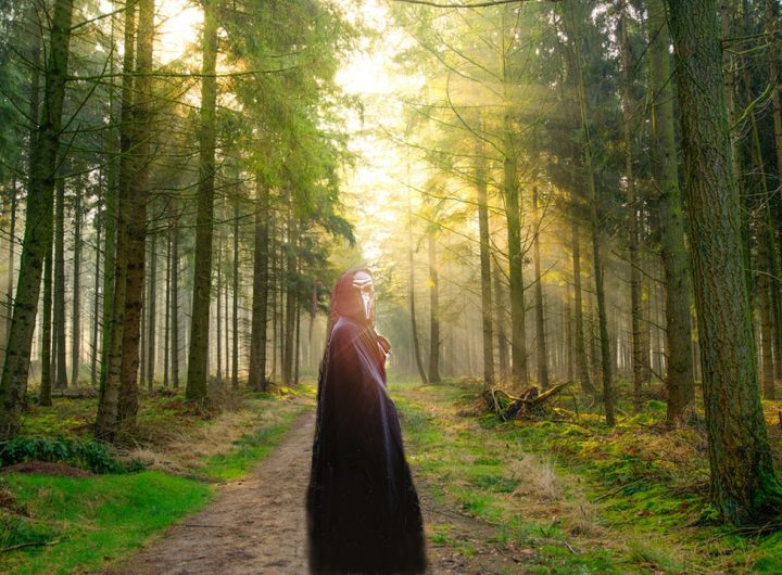 Xavier Remington - Ask Mystic Investigations