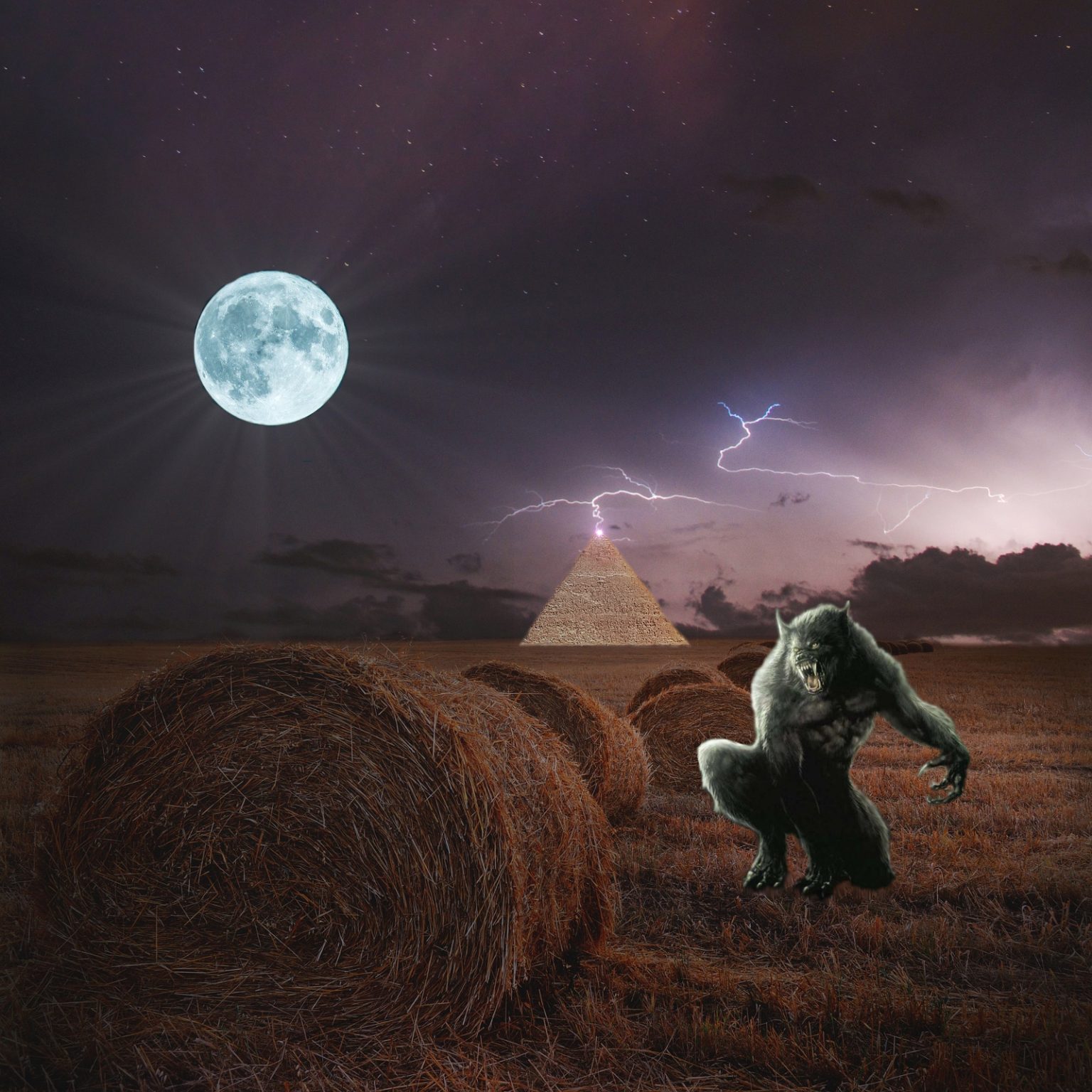 What Is A Werecat? - Ask Mystic Investigations